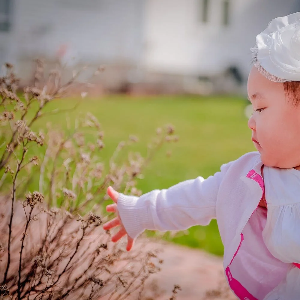 Maternity and Newborn Photographers — Reminisce Photography