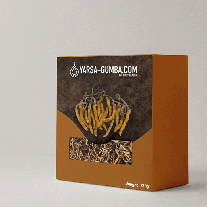 Shop Yarsagumba Online | Cordyceps Sinensis | Yarsagumba Price in Nepal ...