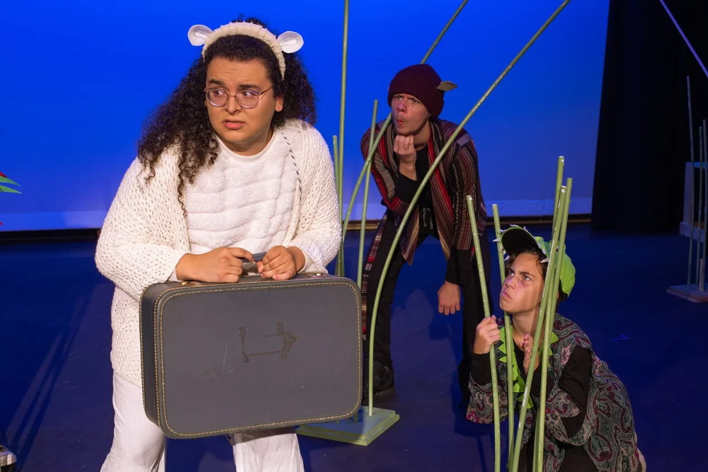 World Premier of Snow in the Jungle/ Nieve en la jungla in Maddy's ...