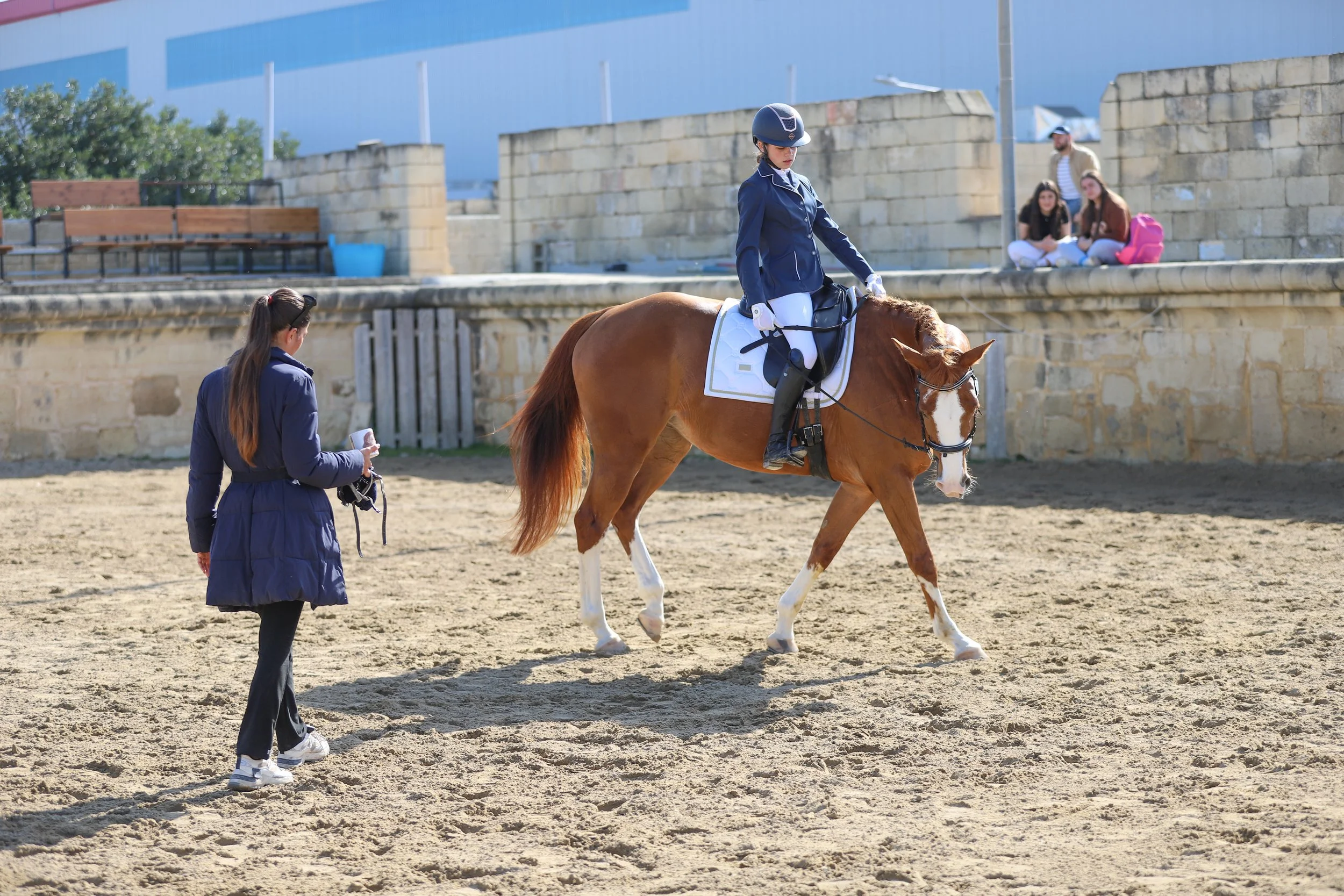 Coach Register — Malta Equestrian Federation