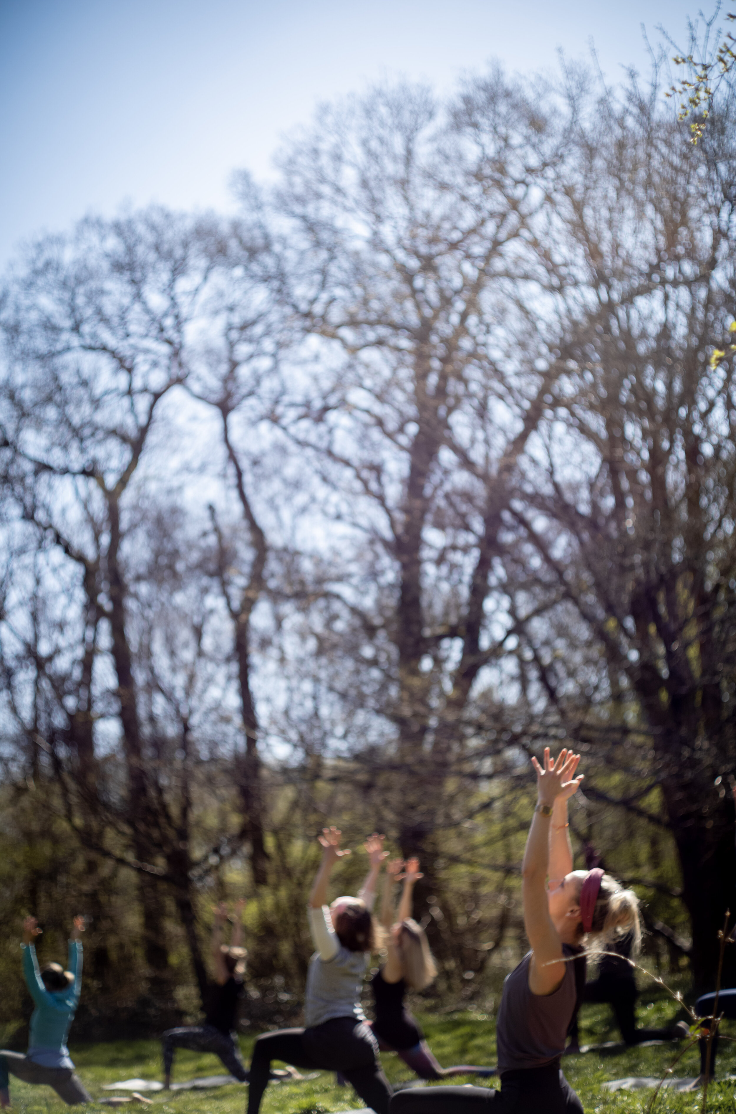 Store 2 — Gabs Brown