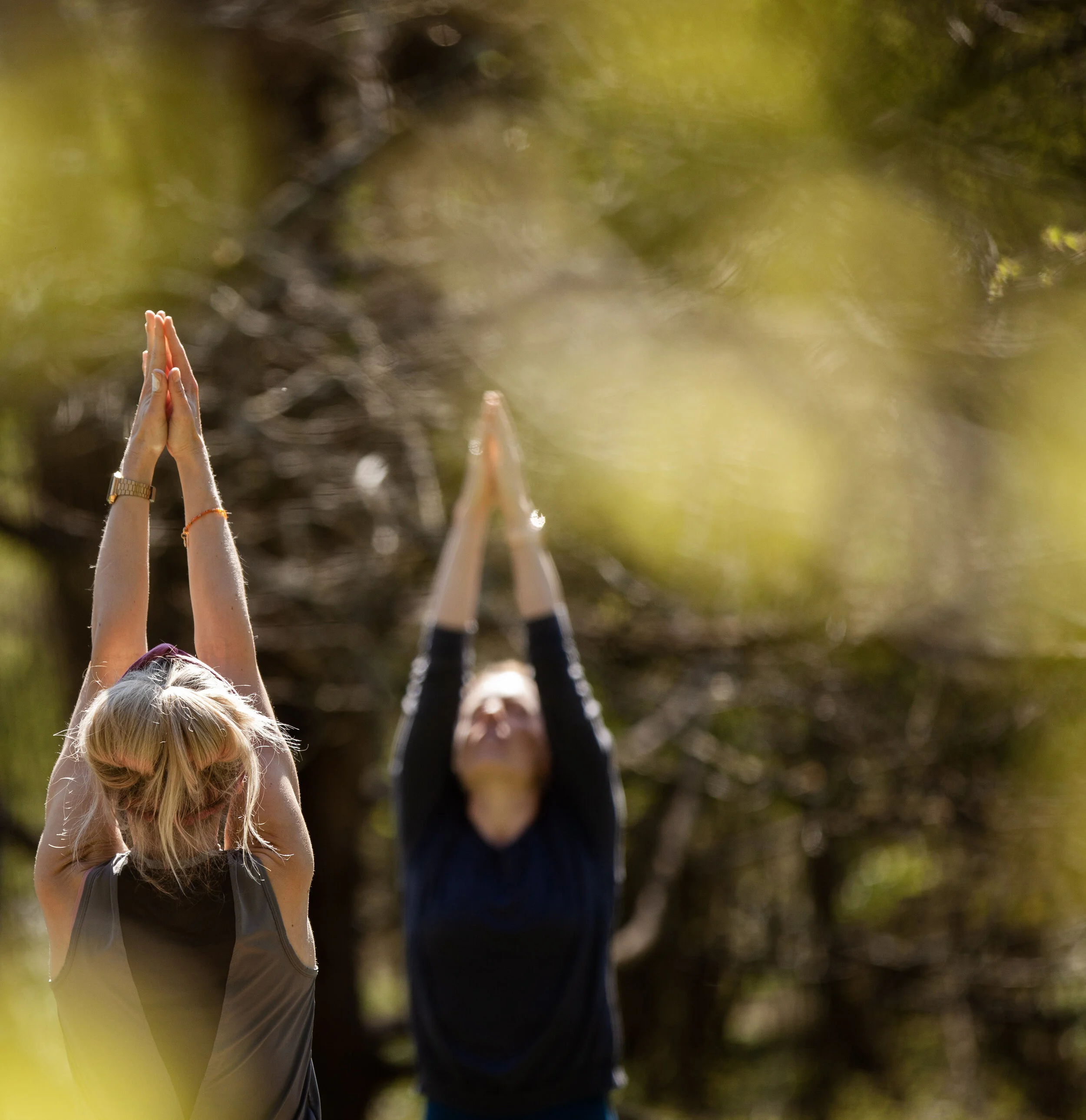 Store 2 — Gabs Brown