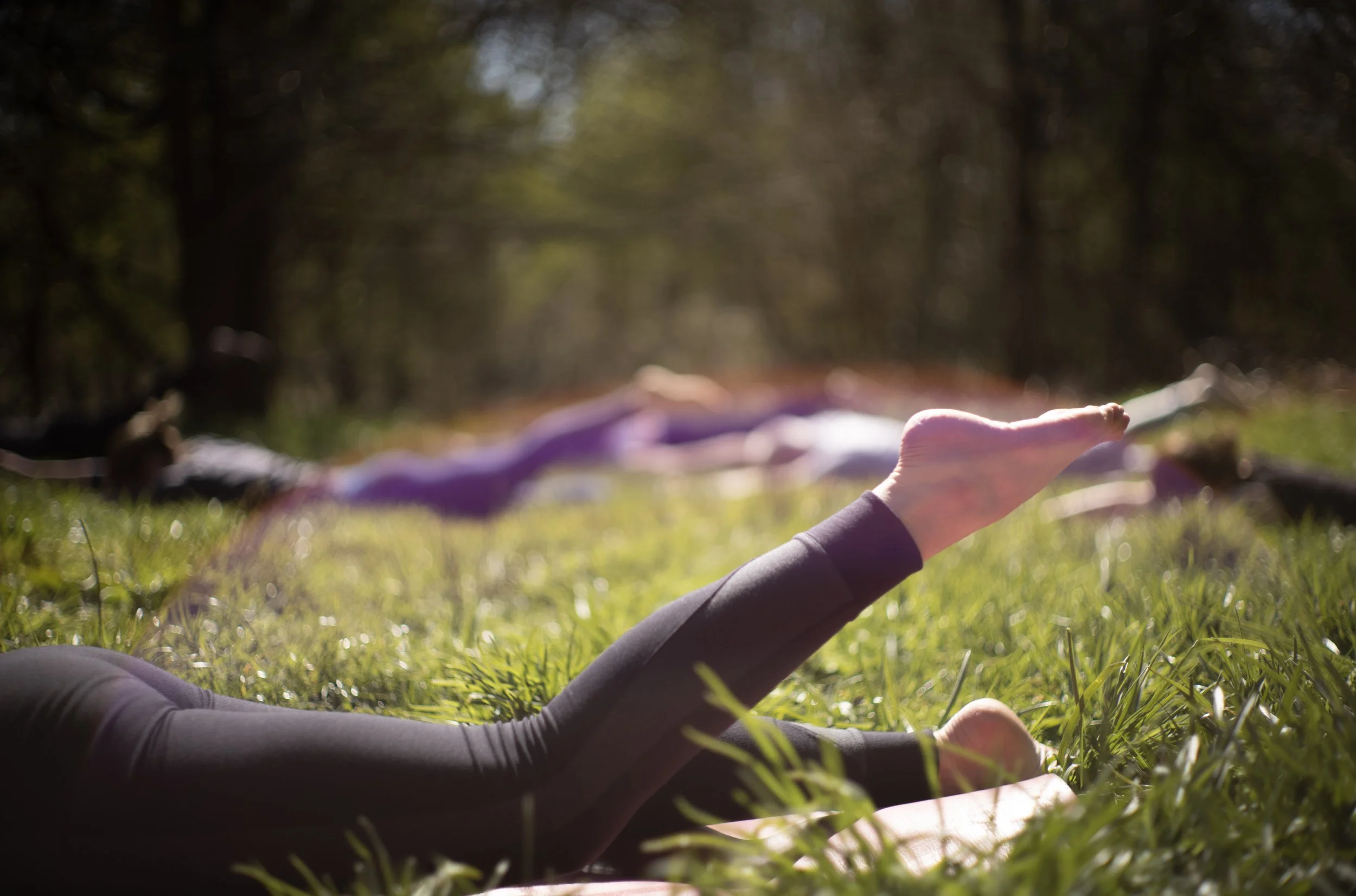 Store 2 — Gabs Brown