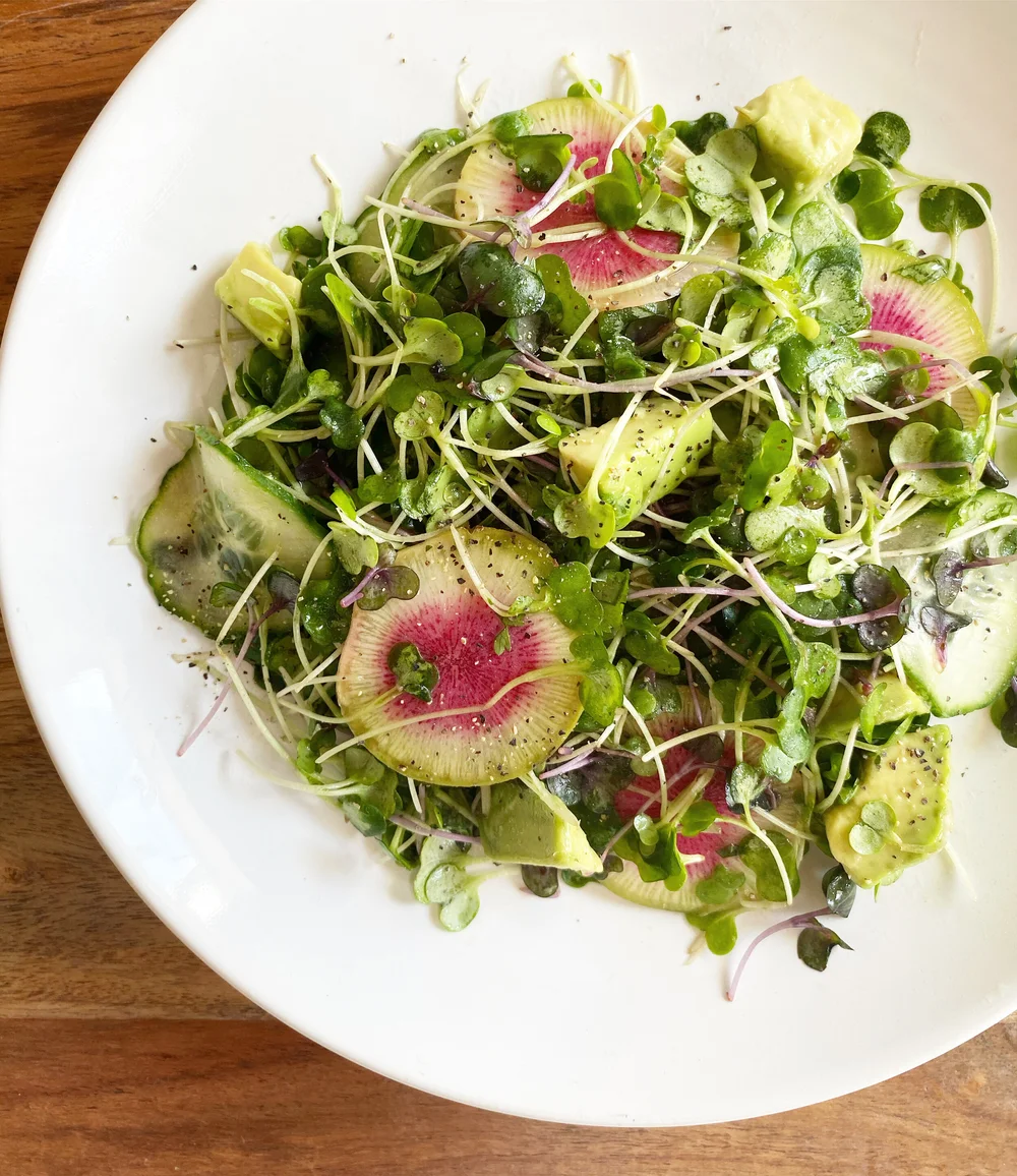 Microgreen Salad w/ Lime Vinaigrette plus it’s Benefits — nikisha riley
