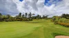 Golf in Devon - All Devon's Courses & More
