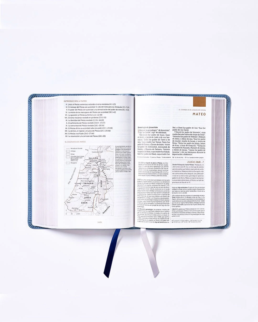 Biblia de Estudio — Nueva Biblia de las Américas