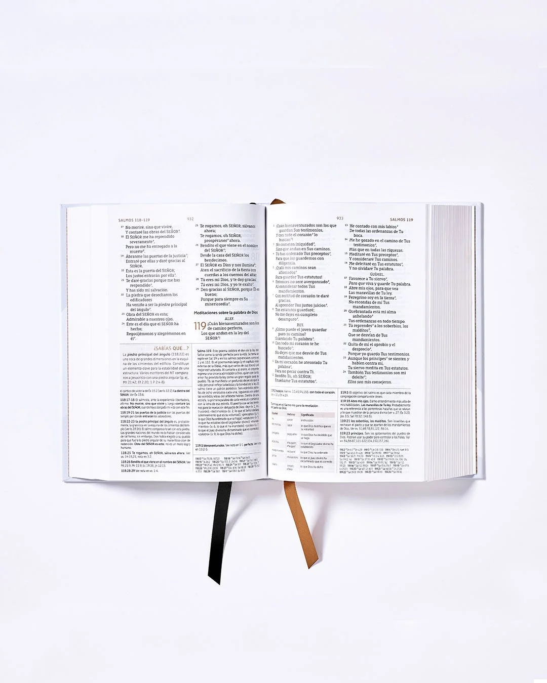 Biblia de Estudio — Nueva Biblia de las Américas