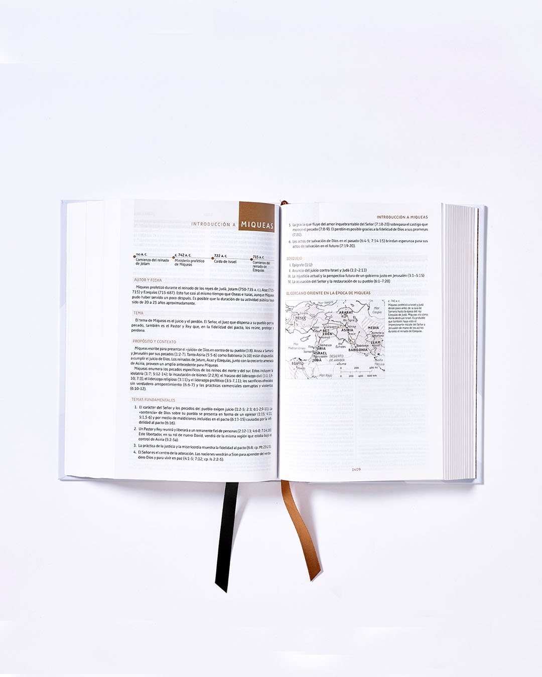 Biblia de Estudio — Nueva Biblia de las Américas