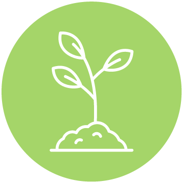 Our Biochar — Standard Biocarbon