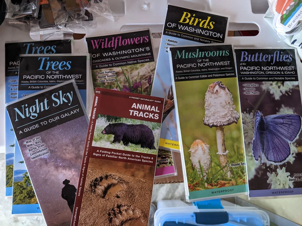 Store 2 — Braided Seeds