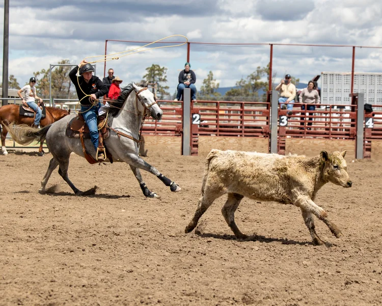 Oregon High School Equestrian Teams