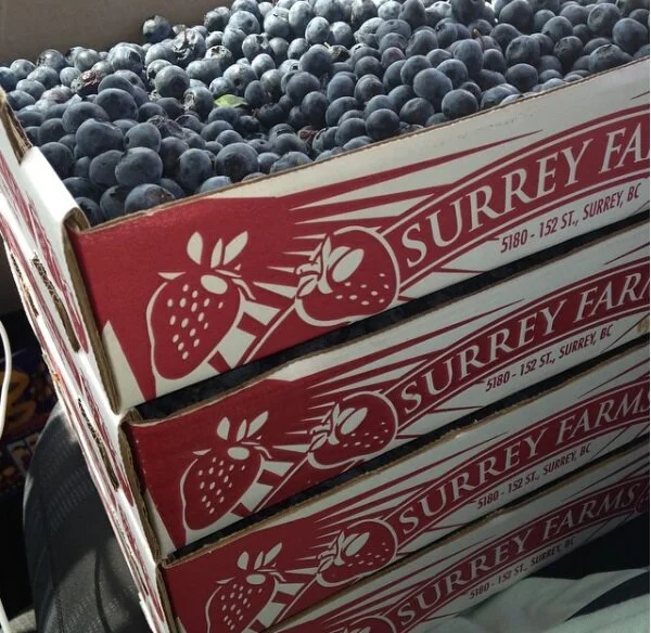 Farm Markets — Surrey Farms