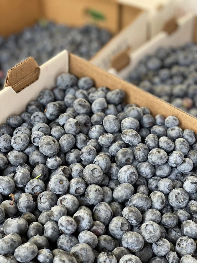 Farm Markets — Surrey Farms