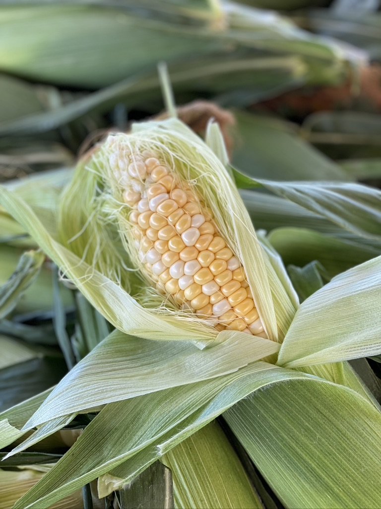Farm Markets — Surrey Farms