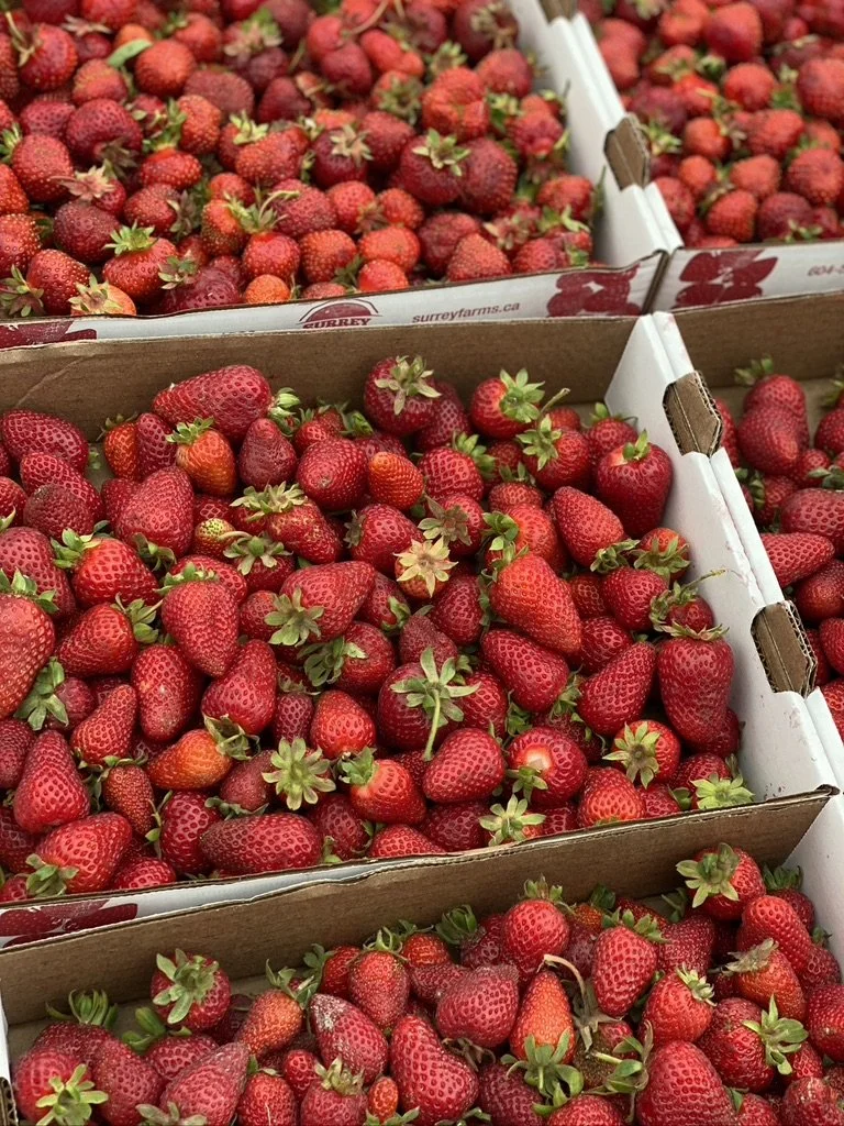 Farm Markets — Surrey Farms