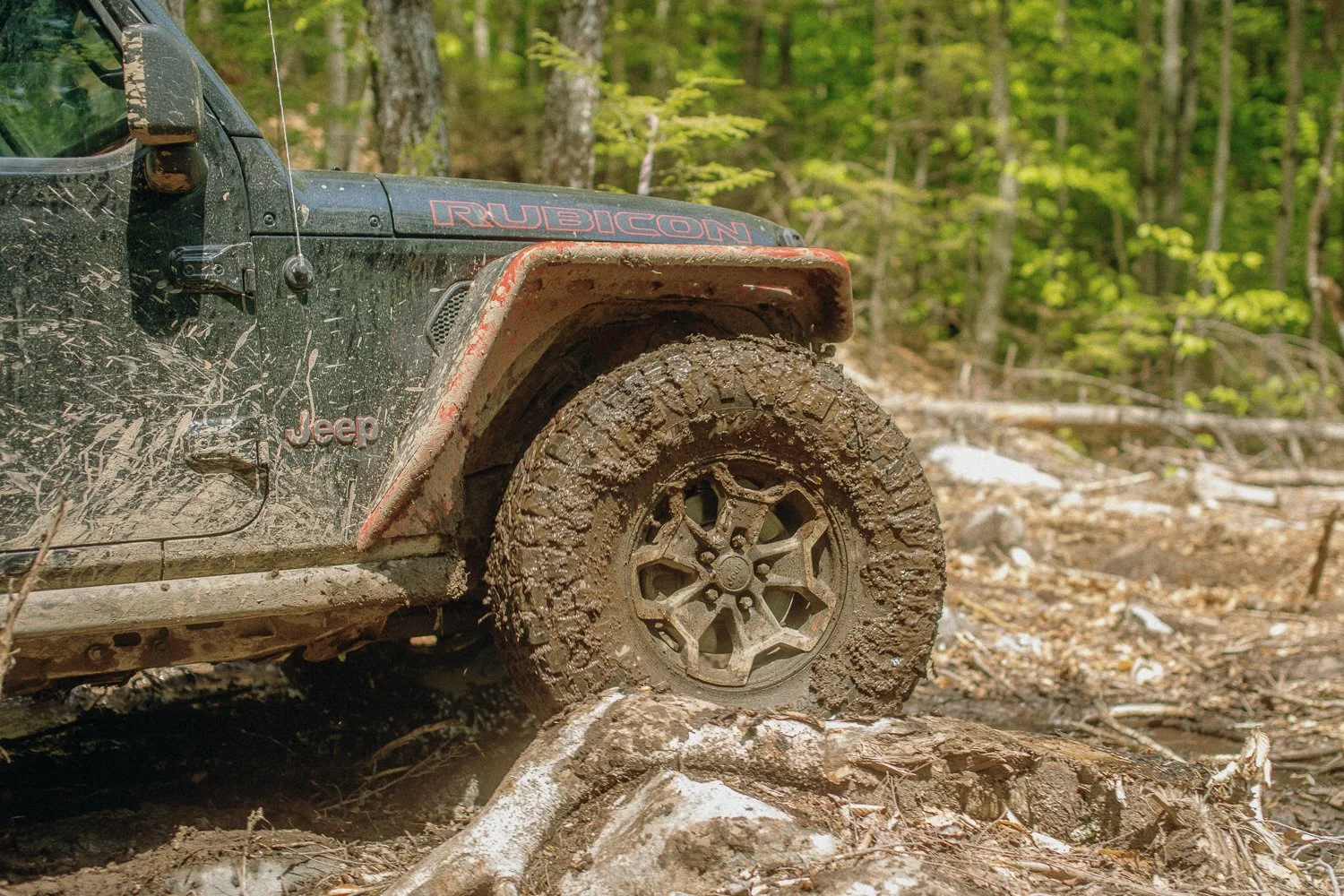 Armor Ditch Overlanding — Daniel Olivares