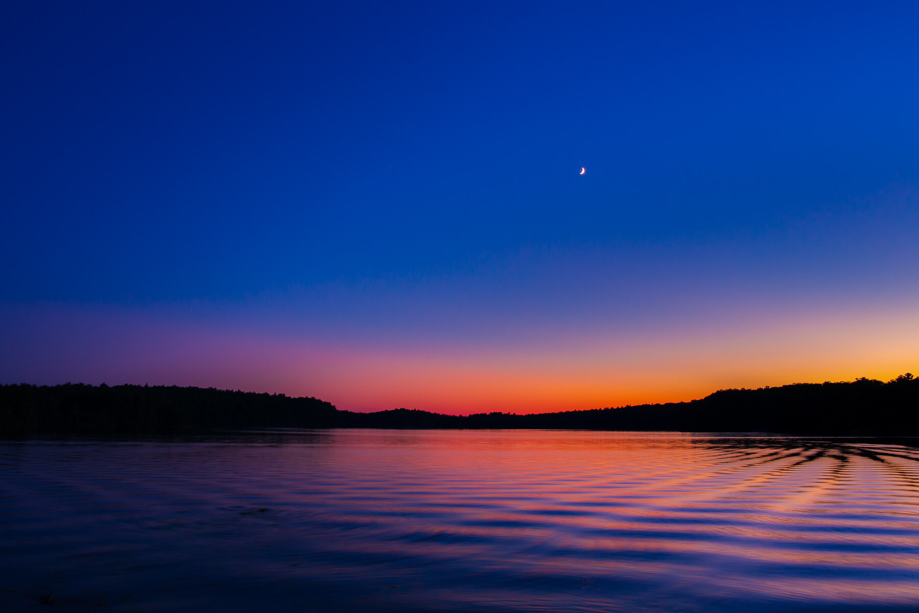 Threshold Forest - Nature Connection Experiences