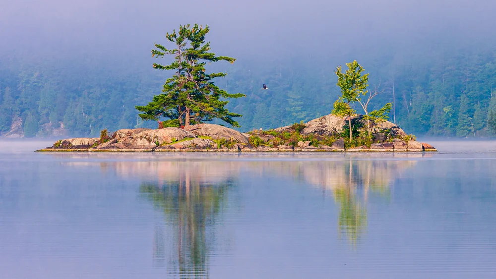 Threshold Forest Resources — Threshold Forest - Nature Connection ...
