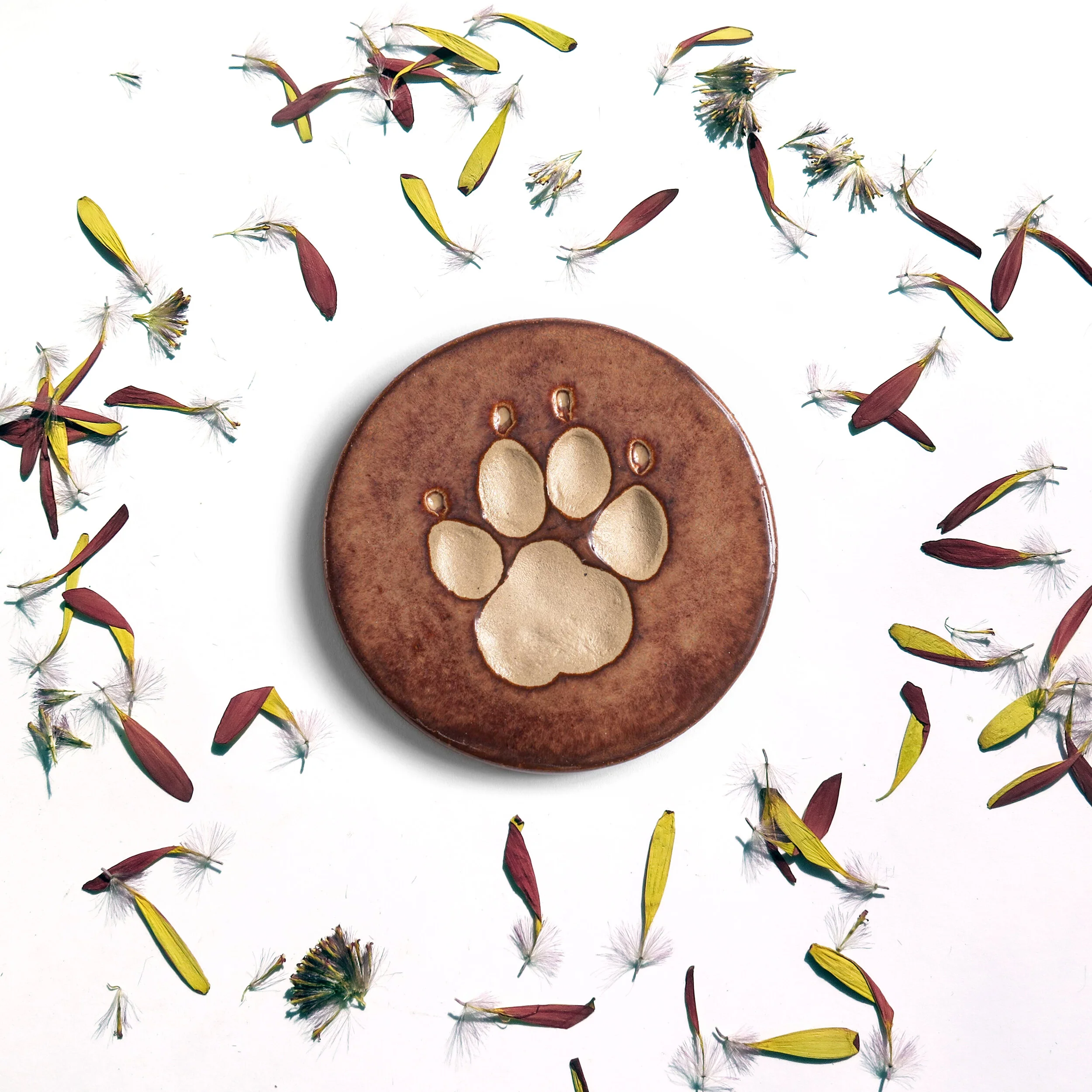 Custom Pet Paw Print Products | Pet Keepsakes — Spawts