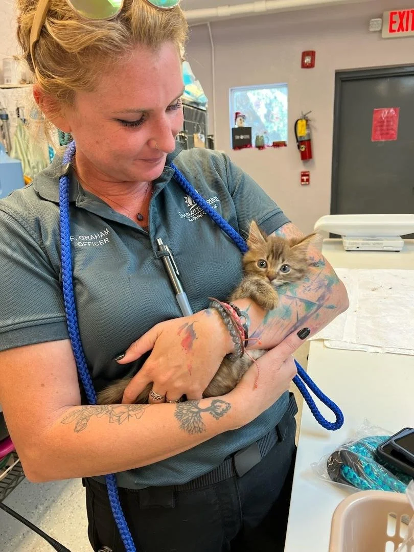 Charlotte County, FL Animal Control Improves Information Sharing ...