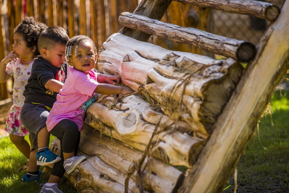 Outdoor Classroom Huts — Good Fieldwork