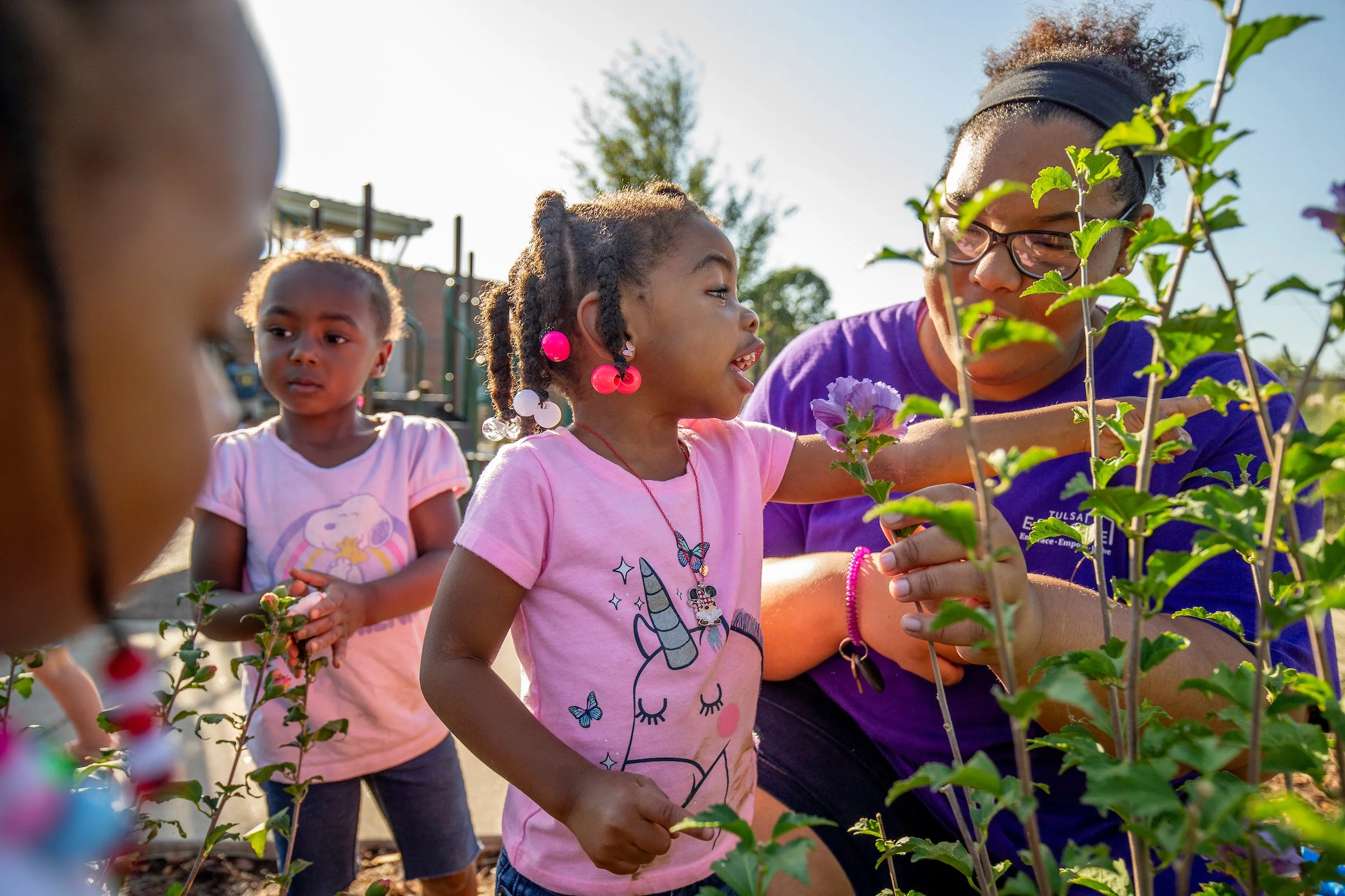 Outdoor Classroom Landscape & Pollinators — Good Fieldwork