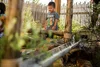 Outdoor Classroom Water Features — Good Fieldwork