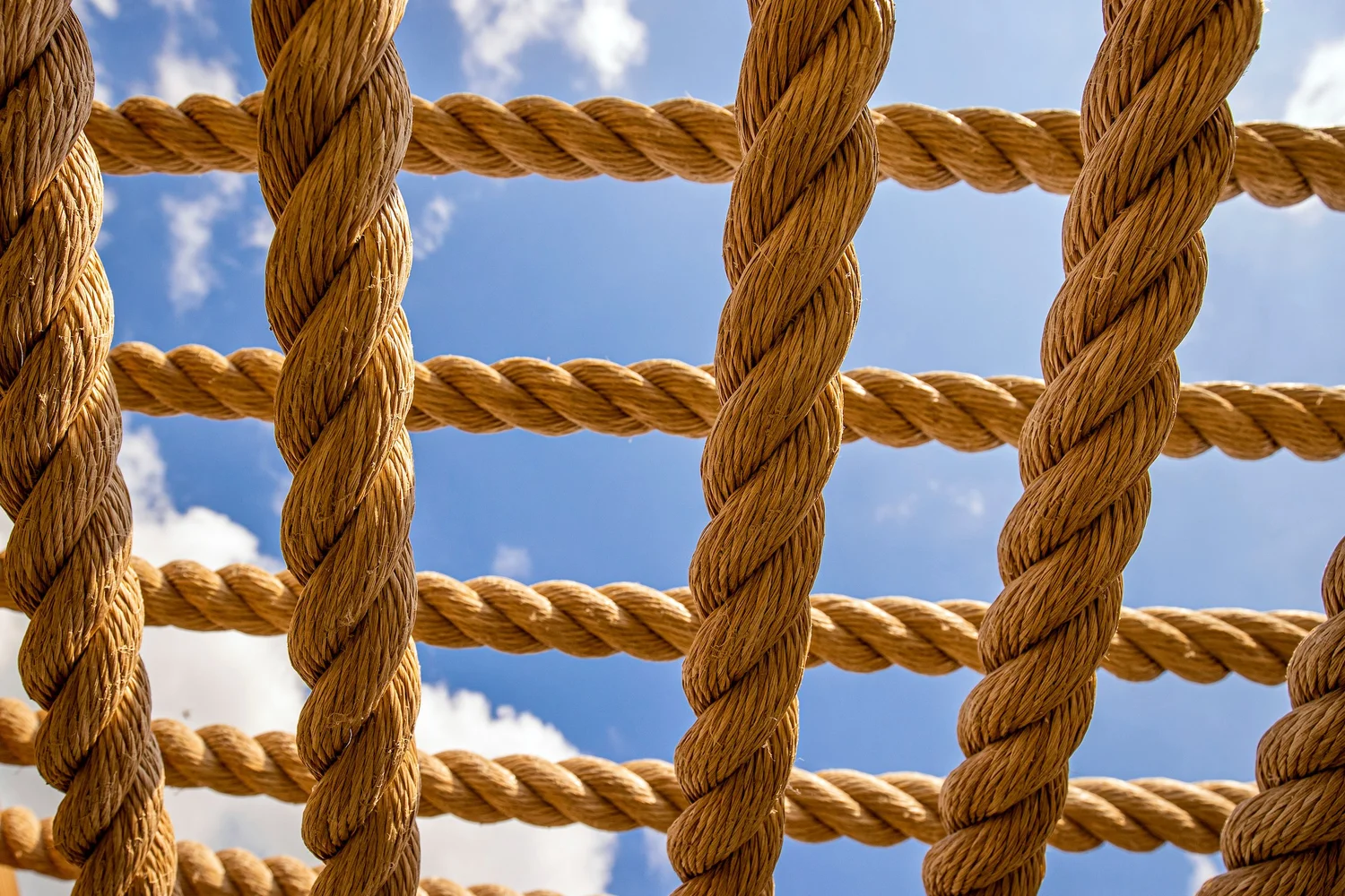 Shade Structures — Good Fieldwork