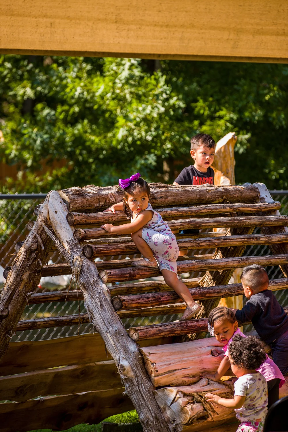 Outdoor Classroom Climbing and Bridges — Good Fieldwork