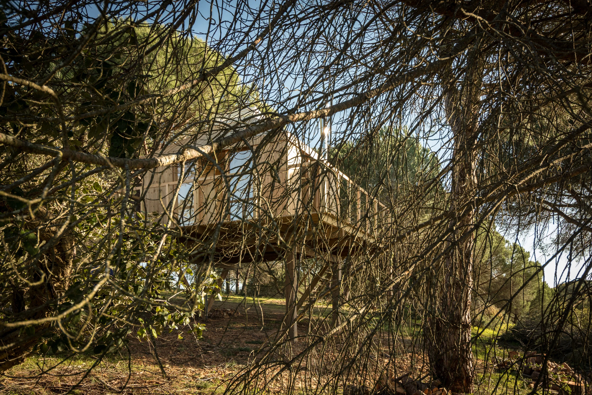 Melides Tree House — Madeiguincho