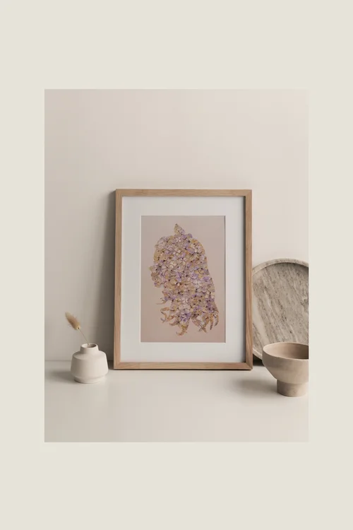 Shop — MaeLily Design Studio