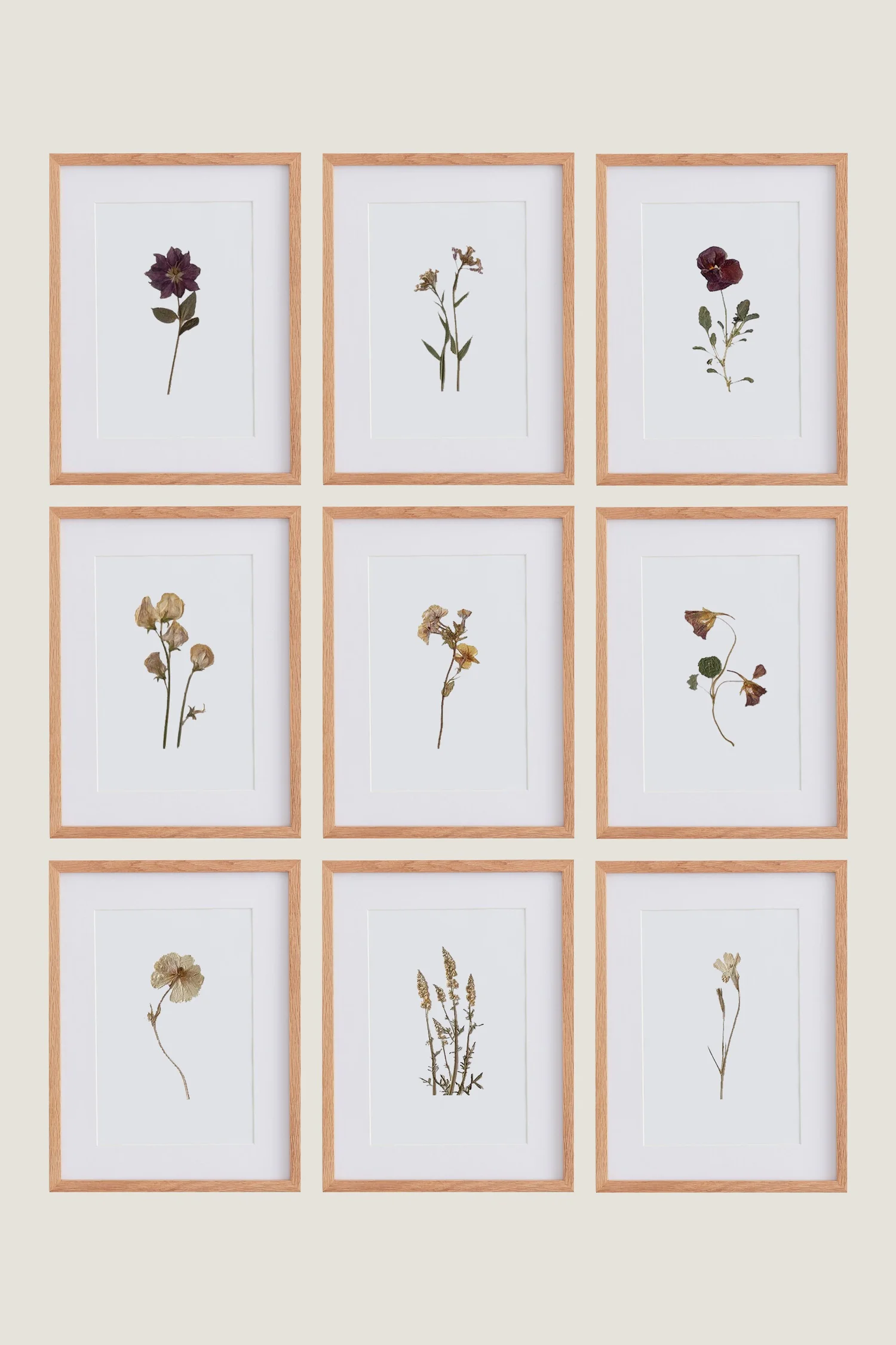 California Pressed Flower Art Studio