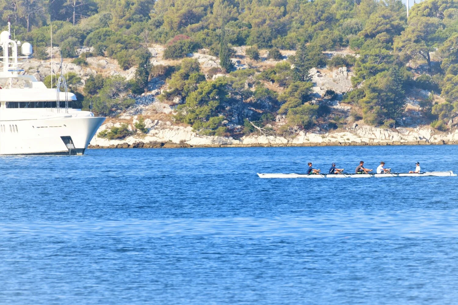 Dietz International Rowing