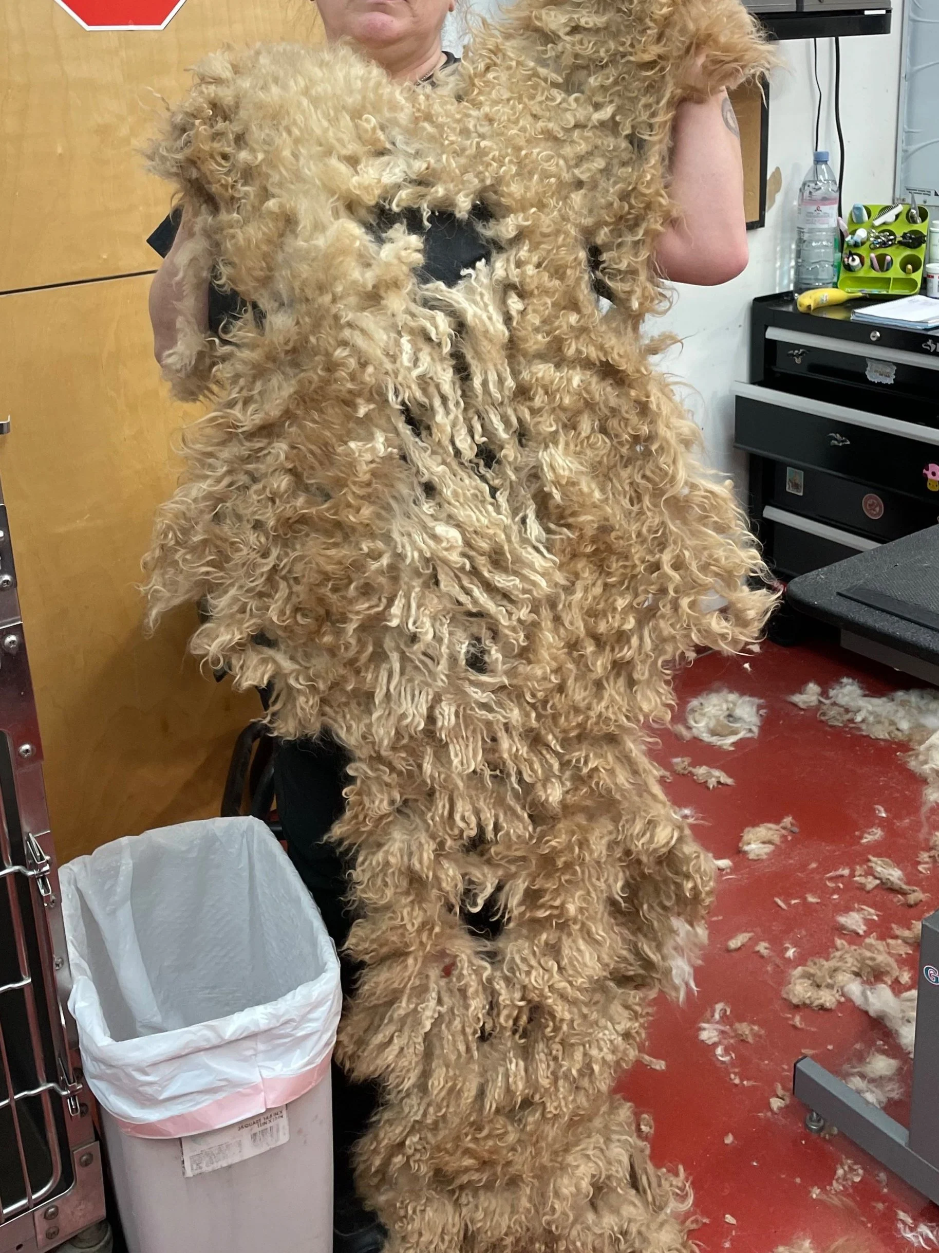 Matting Information — Perky Poodle