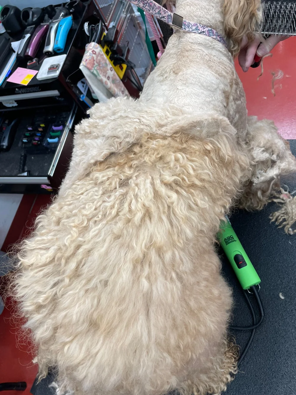 Matting Information — Perky Poodle