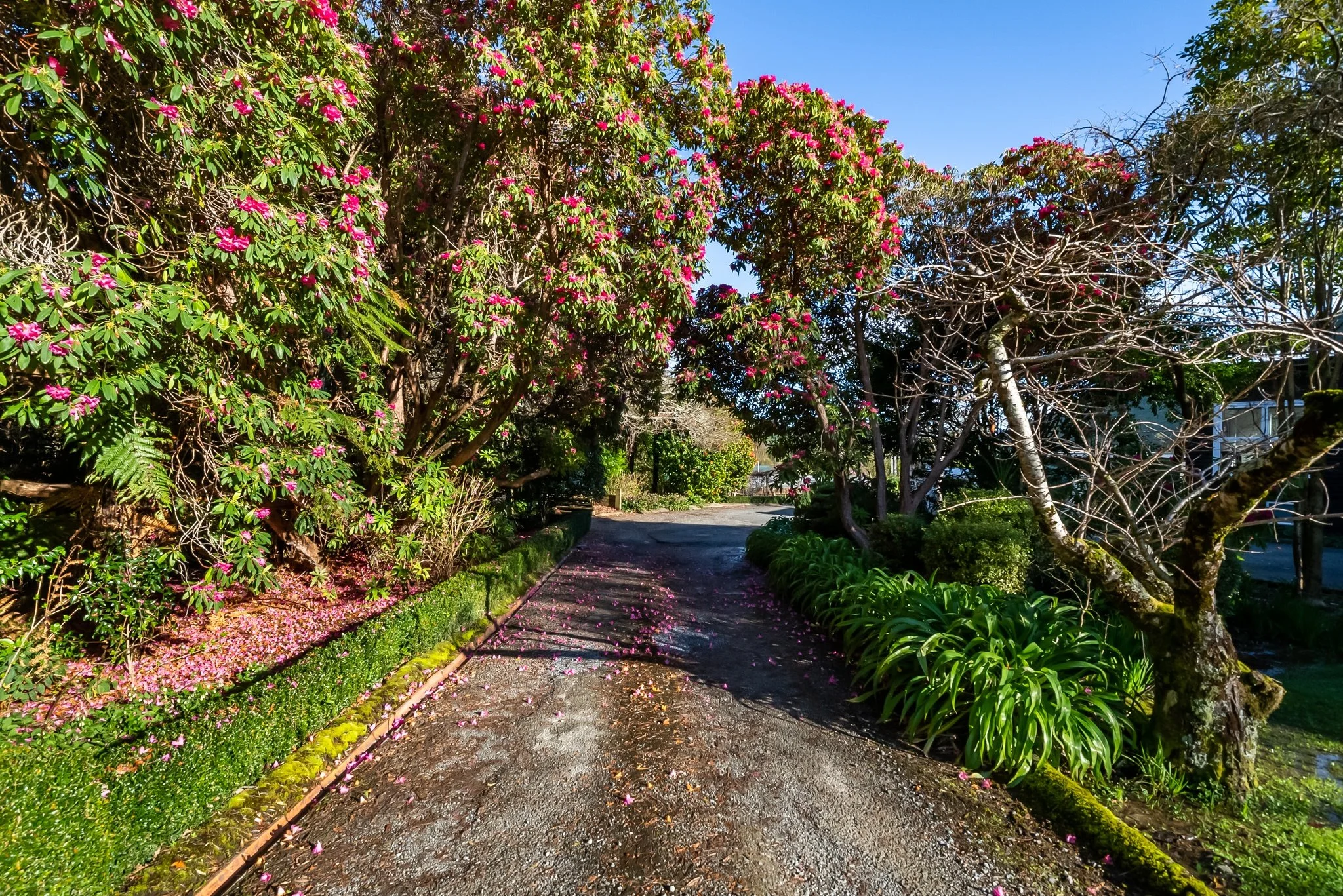 1123 Akatarawa Road — Team Ledger Real Estate | Harcourts | Hutt Valley