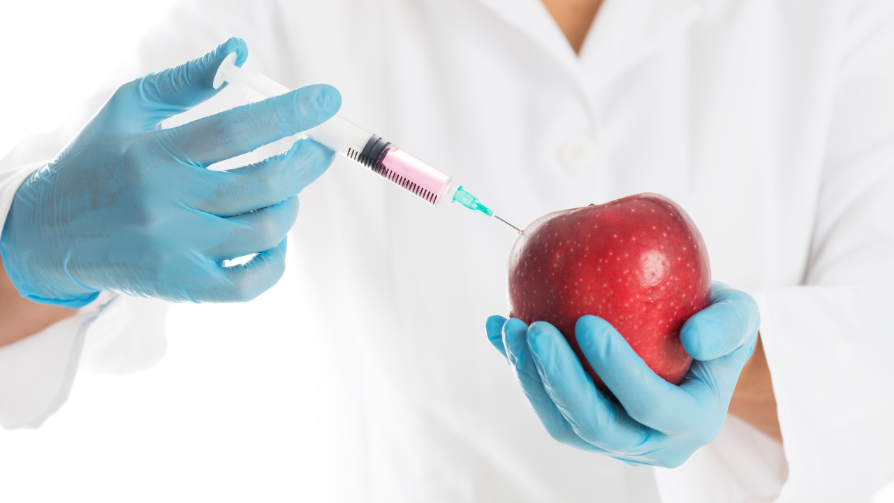 Are Genetically Modified Foods Safe? The Truth About GMOs — Dietitian ...