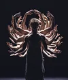 Tom Visser Design