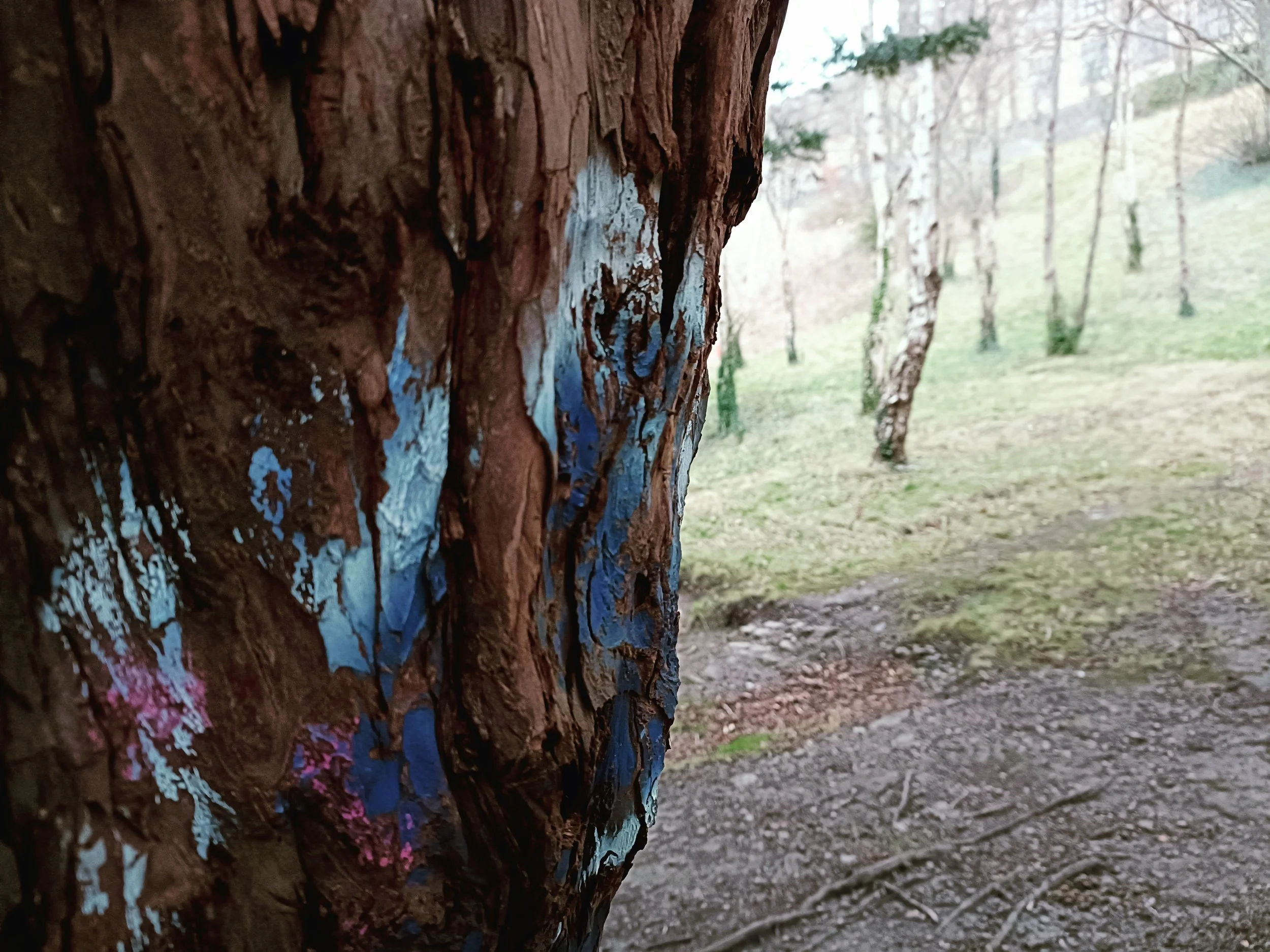 Cylch 6: The Forest Comes to Pontio — Utopias Bach - Revolution in ...