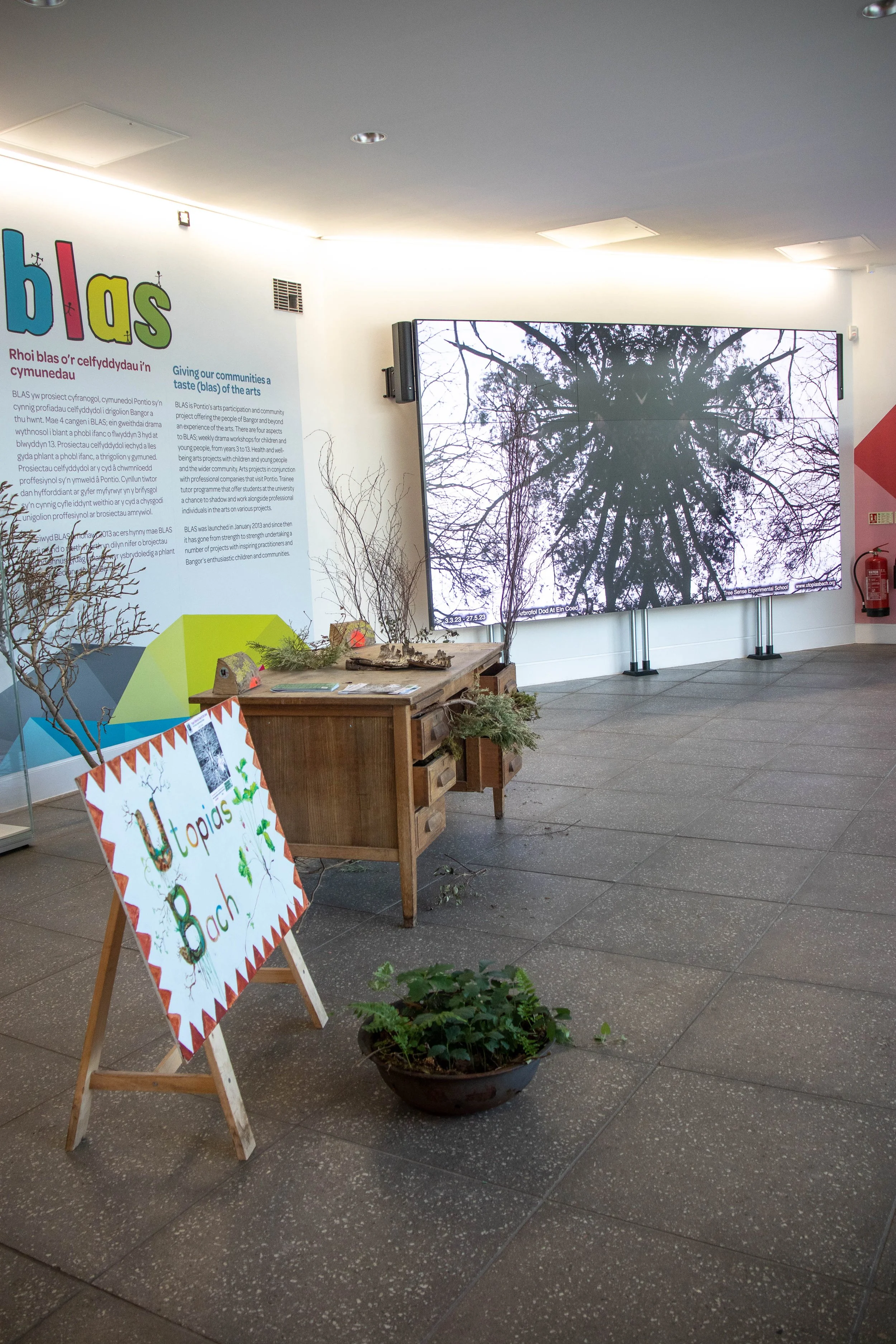 Coedwig yn Dod i Pontio - Forest Comes to Pontio | Discover Nature ...