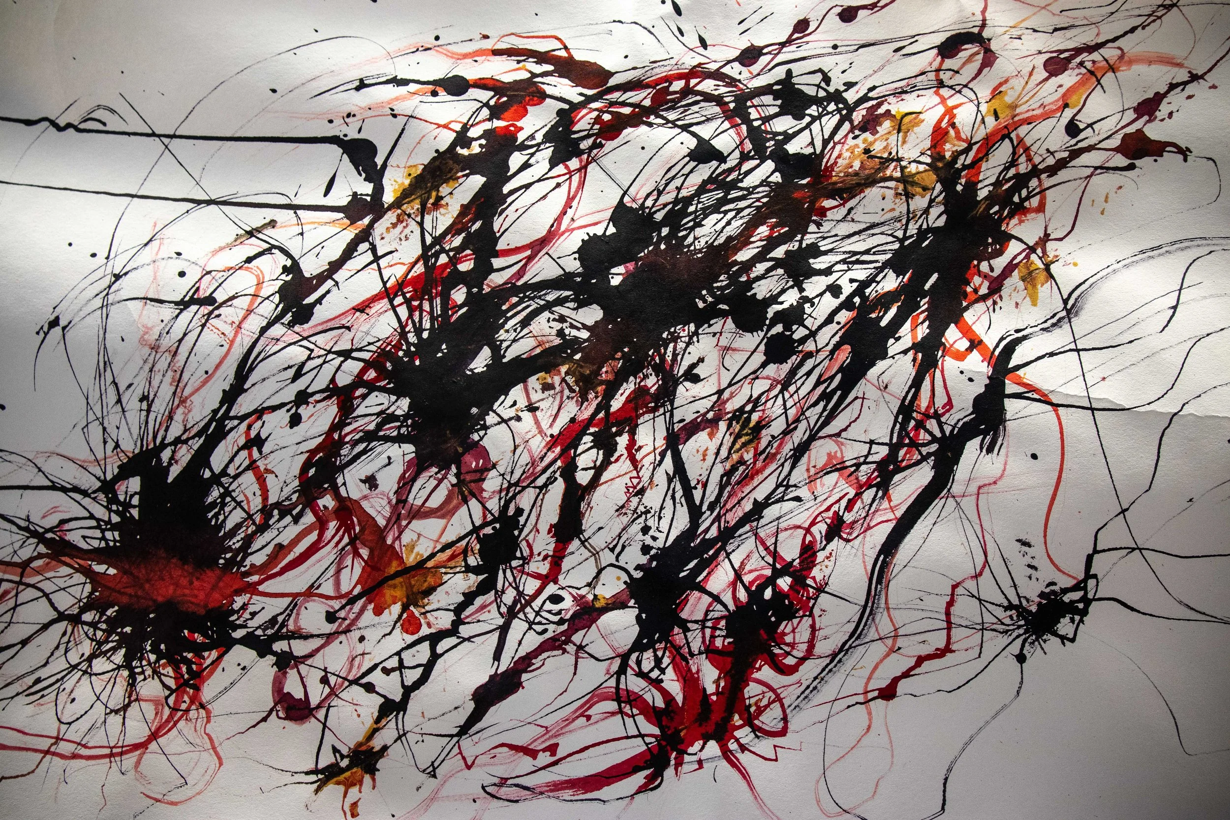 Coedwig yn Dod i Pontio - Forest Comes to Pontio | Discover Nature ...