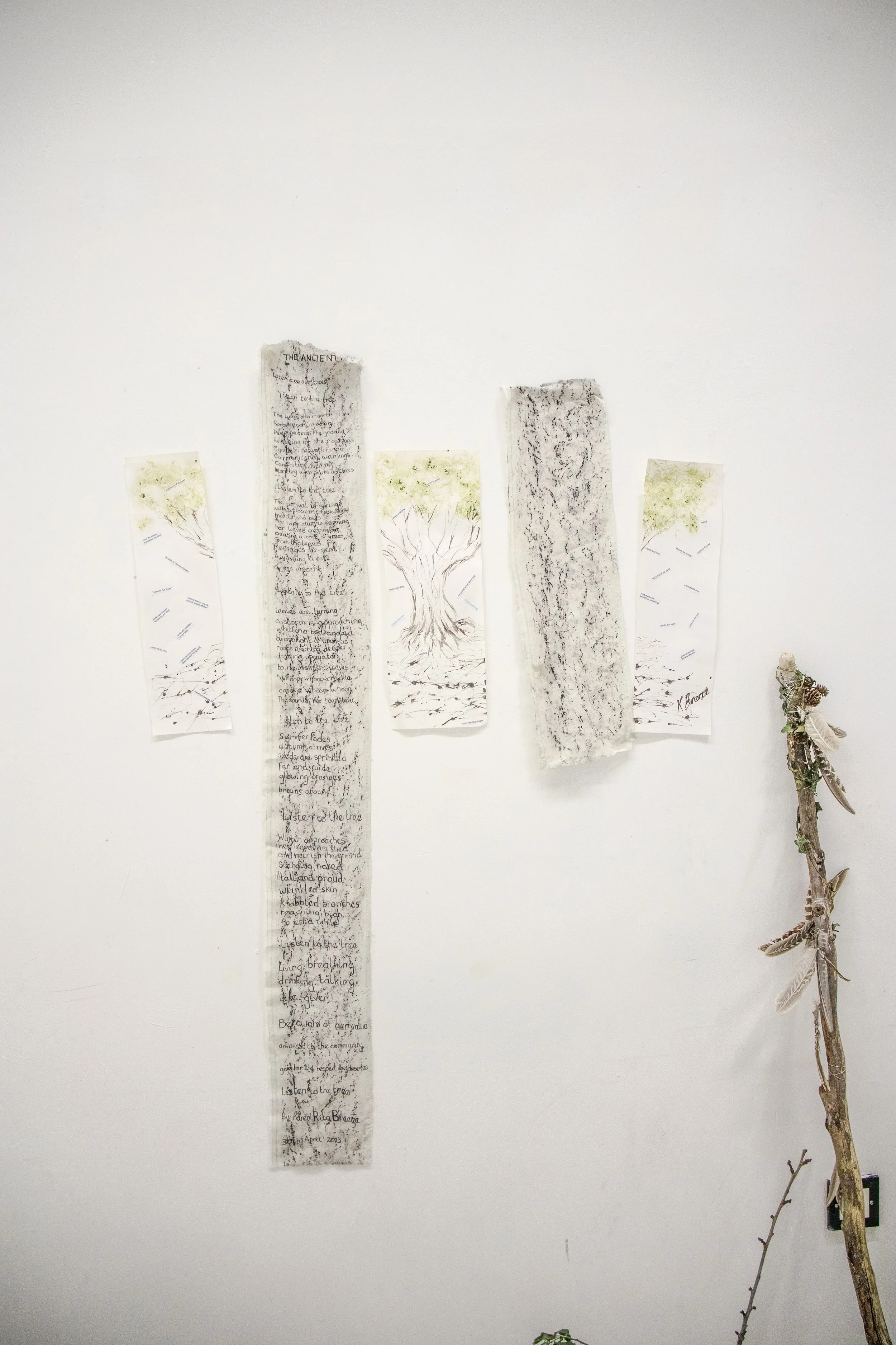 Coedwig yn Dod i Pontio - Forest Comes to Pontio | Discover Nature ...