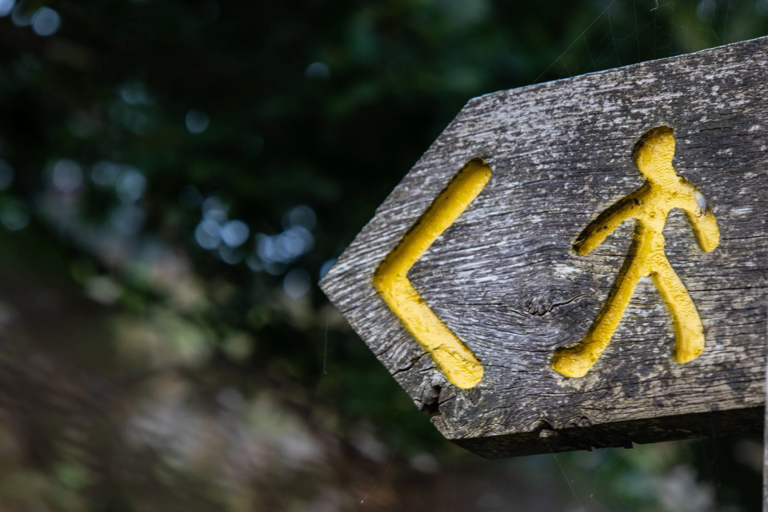 Stori'r Tir Dyffryn Peris — Utopias Bach - Revolution in Miniature