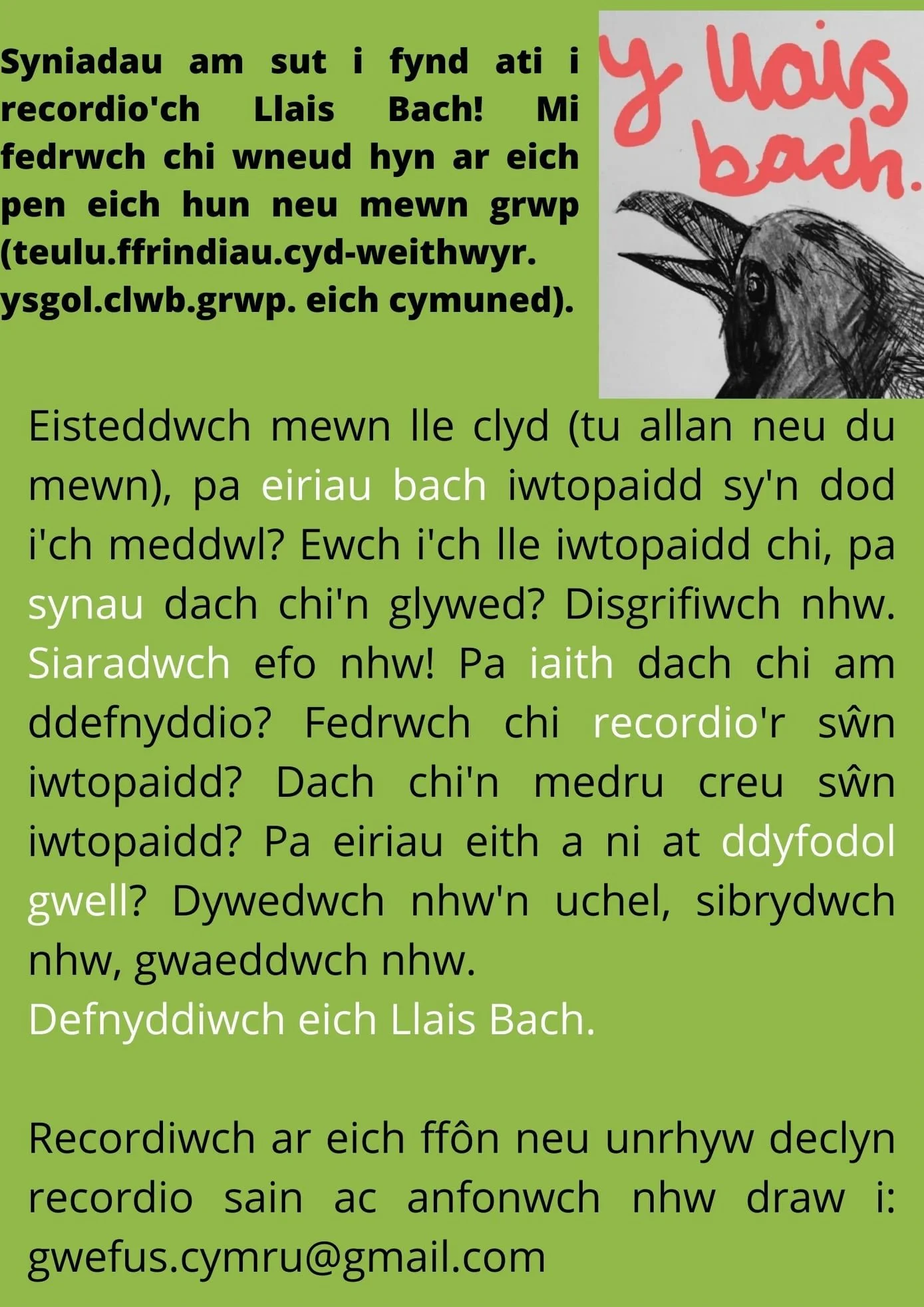 Y Llais Bach — Utopias Bach - Revolution in Miniature
