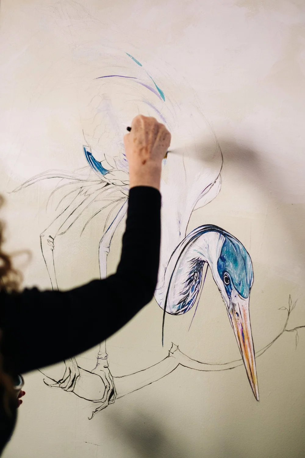 Hatty Pedder Live Event Artist, Live Event Illustrator, Live Event ...