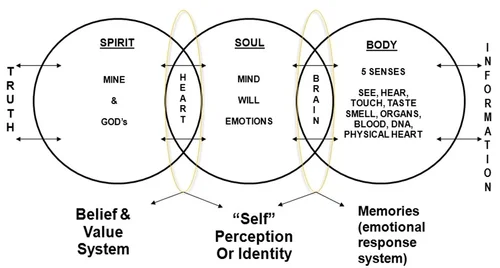 Seven Emotions in TCM & How to Handle Them — Lily Choi Natural Healing