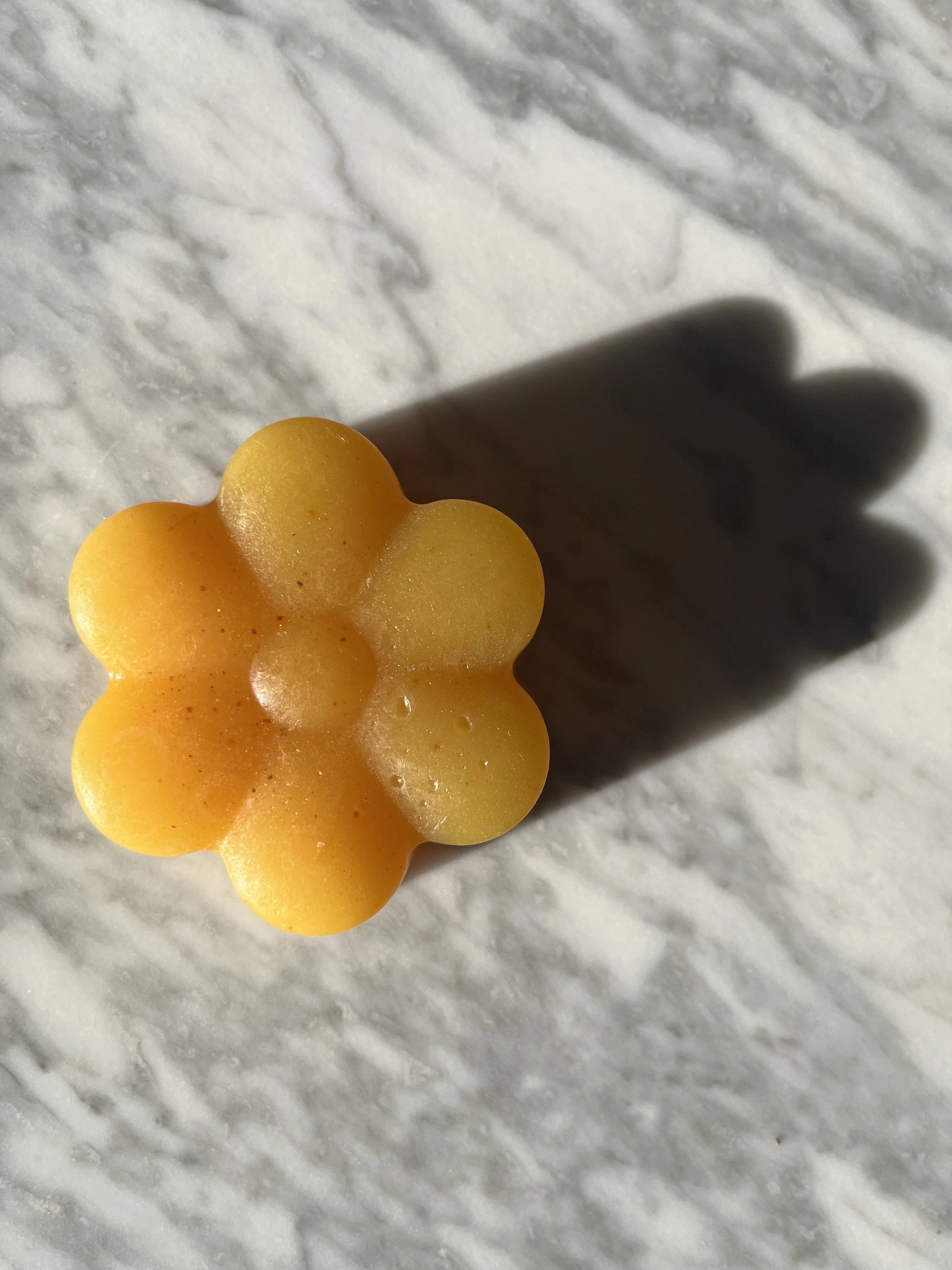 Shop — Lily Choi Natural Healing