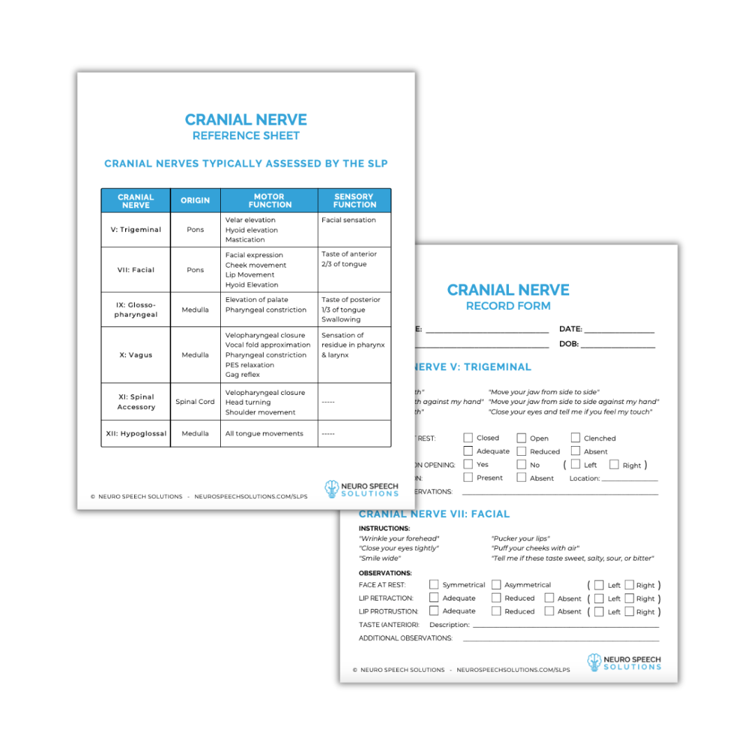 MedSLP Materials | Aphasia Resources | Cognitive Resources — Speech ...