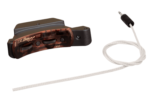 Acoustic Guitar Pickup Systems — LR Baggs