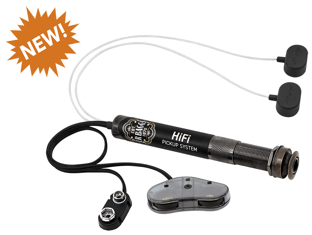 Acoustic Guitar Pickup Systems — LR Baggs